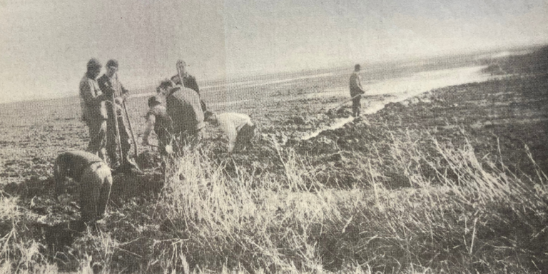 Michigan’s Failed Anarchist Utopia | Bentley Historical Library